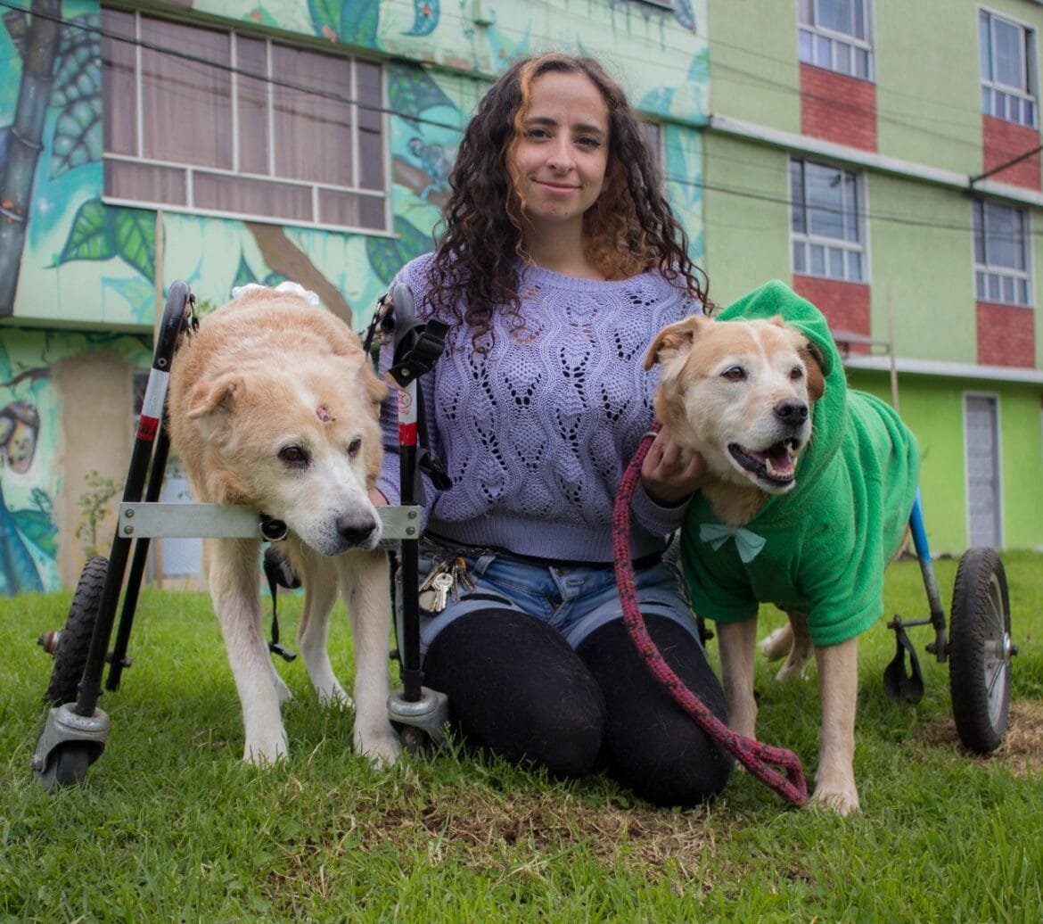 LA GAITANA, UN BARRIO POPULAR DE SUBA EPICENTRO DE LA SOLIDARIDAD Y LA ...